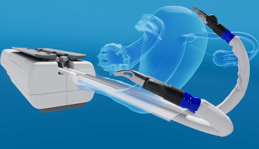 Resource 4 - Momentis